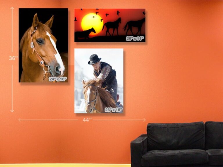 Canvas Wall Displays - Photoland